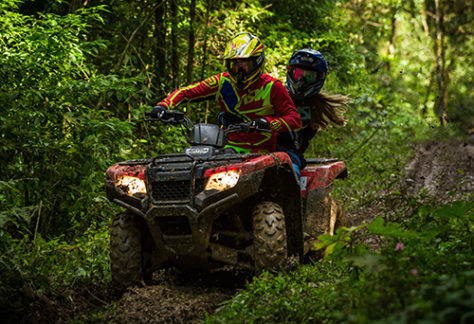 We Are Inn | Restaurant, Hotel and Bar | Philipsburg, PA